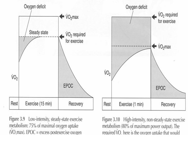 Chapter 6 - Learning Material - Sue Stanley